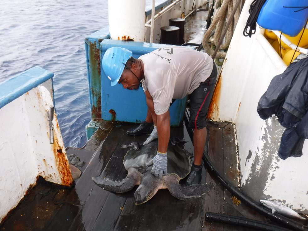 La flota atunera española invierte más de 17 millones de euros en 28 ...